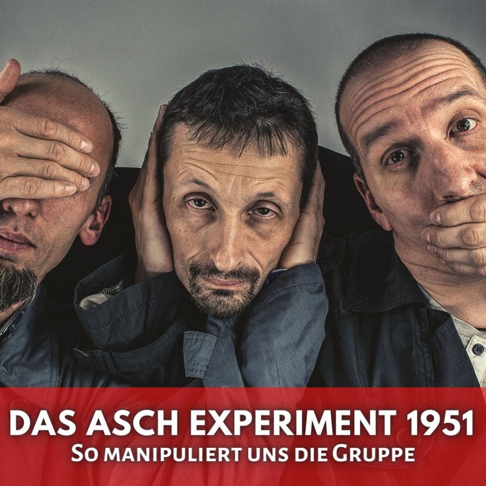 experiment Archive - Corona Datencheck